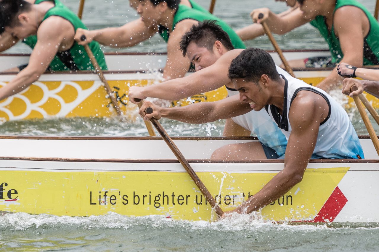 HKU Shun Hing College | Official Website of Shun Hing College of The ...